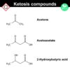 What is a Ketogenic Diet? What is Ketosis? Absolute Beginner Keto Course