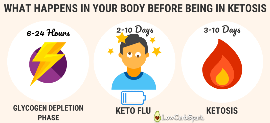 The Ketogenic Diet: A Complete Keto Diet Beginner to Keto