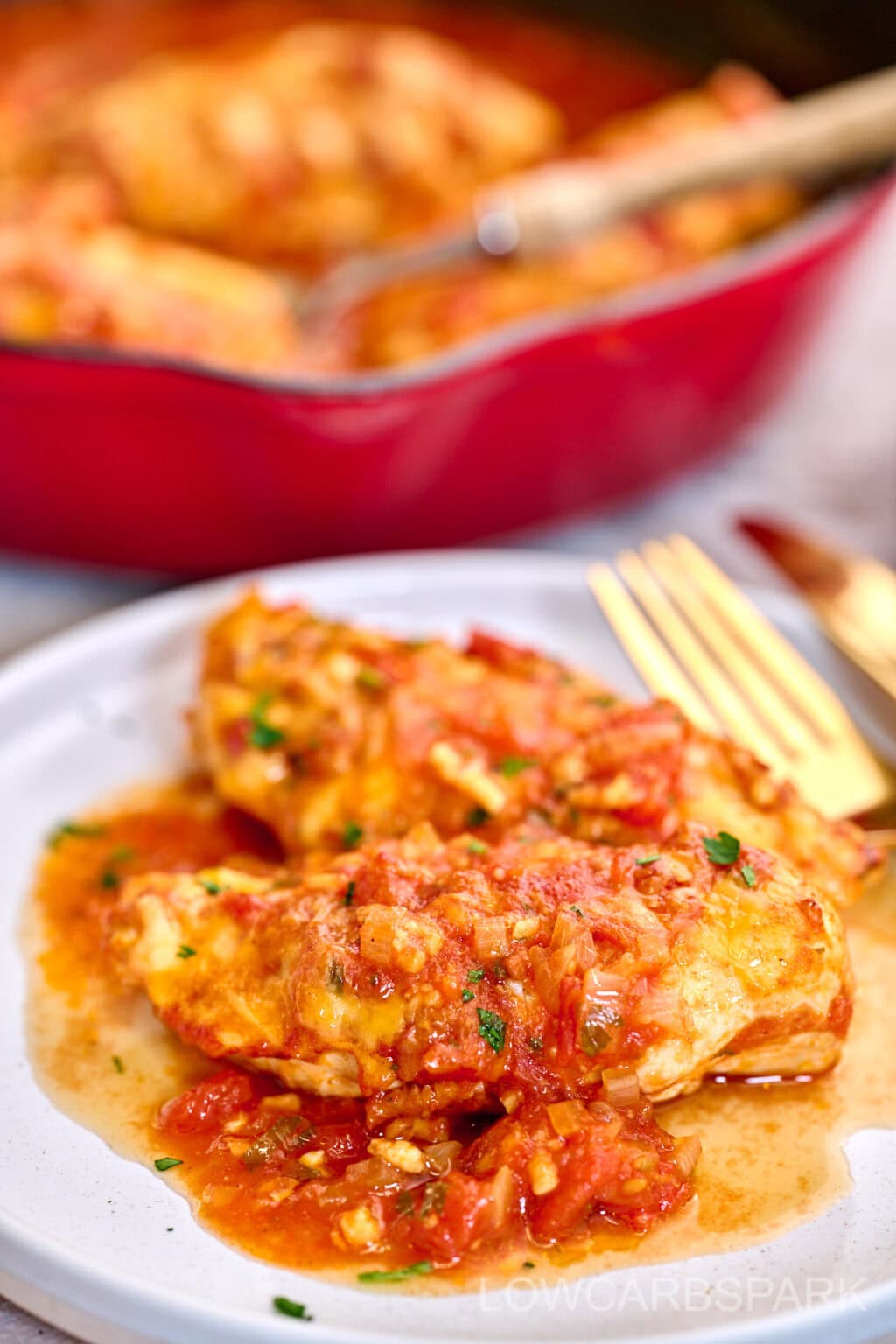 Unbelievably Flavorful Salsa Chicken - Low Carb Spark