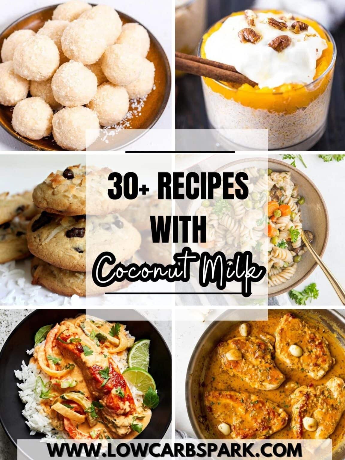 Discover the Creamy Goodness: 30+ Recipes with Coconut Milk - Low Carb ...